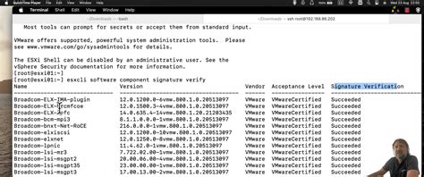 Vmware Certified Professional Data Center Virtualization Vcp Dcv Cómo Instalar Esxi 8 X