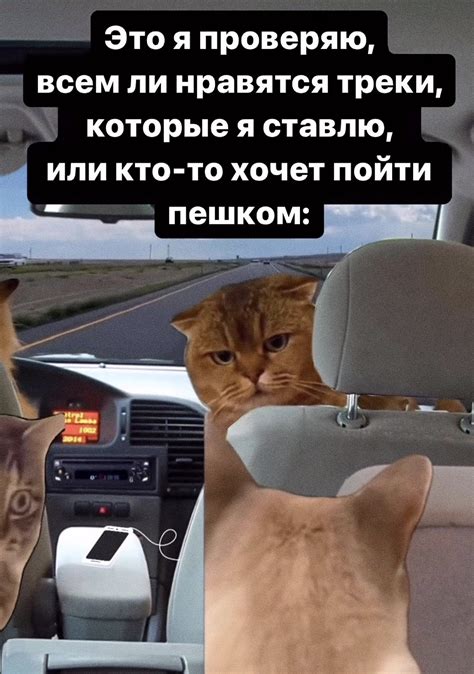 котэ картинки смешные картинки и другие приколы комиксы гиф