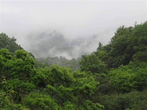 白天漸熱如夏 第3波梅雨鋒面週四報到