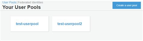 Integrating Amazon Cognito With Single Page Application Vuejs