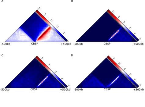 Modeling The CPAP A The Aggregated HiC Map Is Centered On The