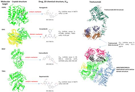 Ijms Free Full Text Evolution Of Treatment In Advanced