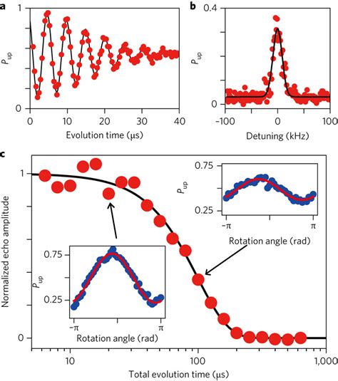 Phase Coherence And A Spin Echo A Ramsey Interference The Ramsey