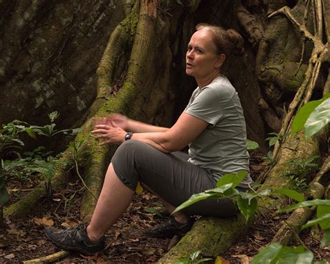 Gorily Zblízka 2022 Čsfdcz