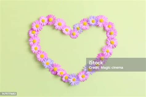 녹색 배경에 분홍색과 보라색 과꽃 꽃으로 만든 심장 창조적 인 봄 아이디어 세련된 트렌디 한 인사말 카드 자연스러운 최소한의