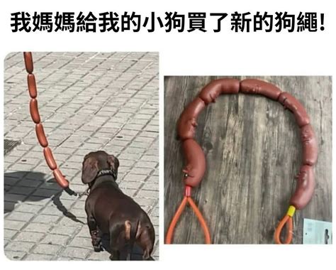 好適合，哈哈哈