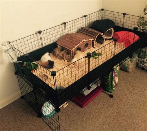 Ideas Para Organizar Y Decorar La Jaulita De Tu Mascota