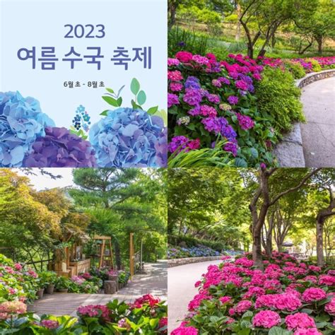 곤지암 리조트 화담숲 수국축제 패키지 곤지암 화담숲 모노레일 예약 방법 반딧불이 축제 네이버 블로그
