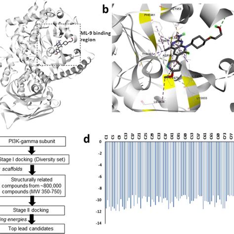 High Throughput Virtual Screening Of Pi3kcg Subunit A Download