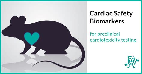 Cardiac Safety Biomarkers For Preclinical Cardiotoxicity Testing