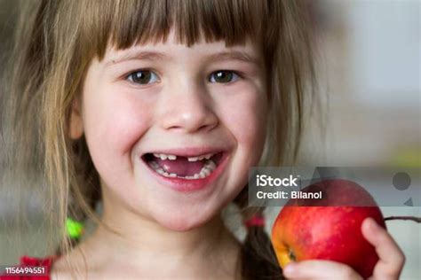 귀여운 작은 곱슬 이빨없는 소녀는 미소와 붉은 사과를 보유하고있다 빨간 사과를 먹는 행복한 아기의 초상화 아이는 우유 치아를 잃습니다 건강한 음식 영양 가족에 대한 스톡