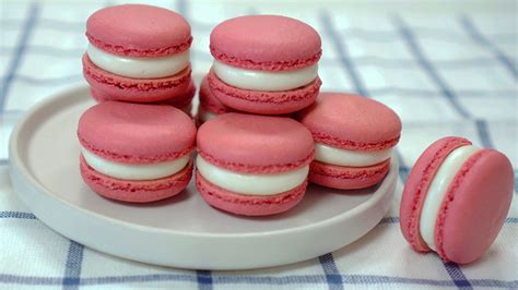 상큼달콤 라즈베리 요거트 마카롱