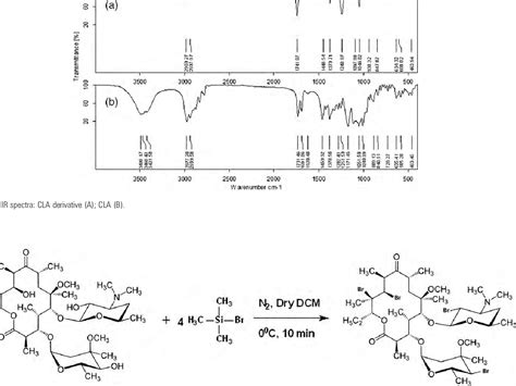 Figure 1 From Rp Hplcpre Column Derivatization For Analysis Of