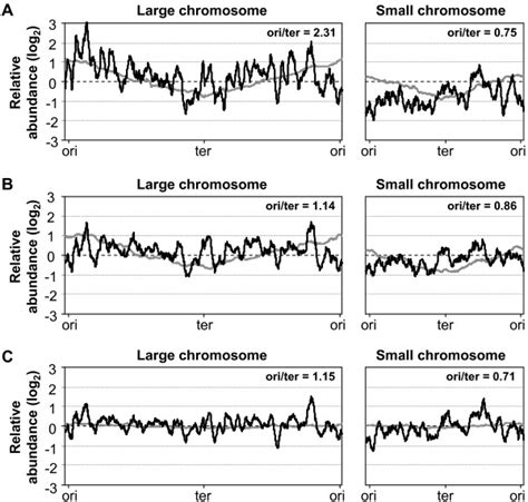 Genome Wide Expression In Exponentially Growing V Parahaemolyticus