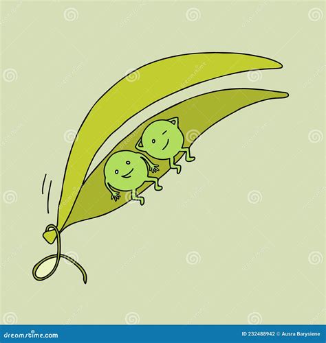 Two Peas In A Pod Concept Of Similarity Metaphorical Idiom Stock
