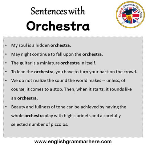 Sentences With Orchestra Orchestra In A Sentence In English Sentences For Orchestra English