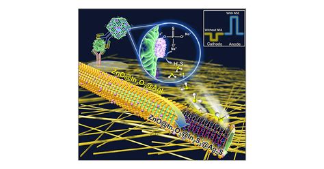 Biological Transformation Of Agi On Mof On Mof Derived Heterostructures Toward Polarity