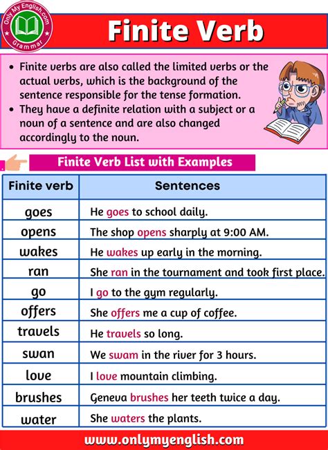 Finite Verb Definite Rules Examples And List Verb Examples Learn