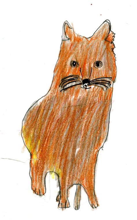 Swift Fox Drawing At Explore Collection Of Swift
