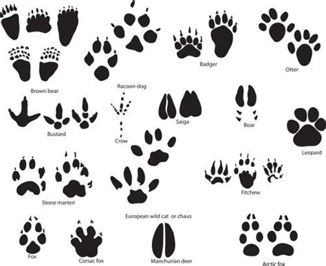 Check These 10 Paw Print Tattoo Ideas You Might Like To Have For Your