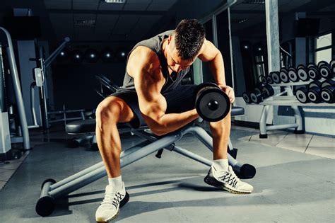 Comment Développer Des Muscles Rapidement