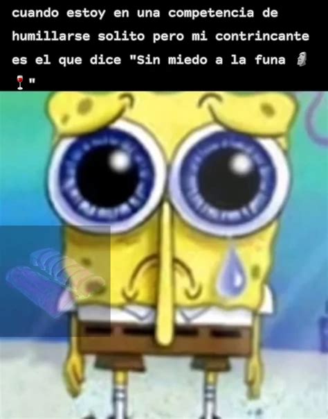 Imagenes Graciosas De Memes De Bob Esponja