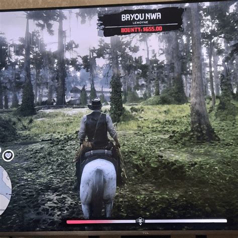 I Need Fix This Glitch Rreddeadredemption