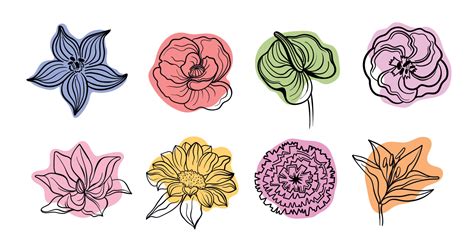 Vector Line Black Illustration Graphics Flowers Green Anthurium