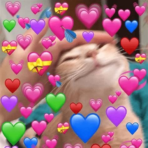 Gatitos Con Corazones