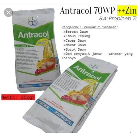 Jual Fungisida ANTRACOL 70 WP Shopee Indonesia