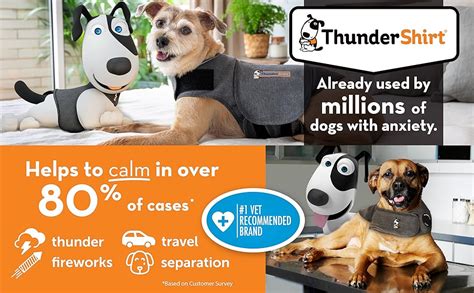 Thundershirt Dogs Clothing Thundershirt Dog Anxiety Jacket Platinum