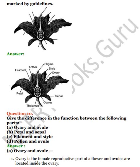 Selina Concise Biology Class 6 ICSE Solutions Chapter 2 The Flower
