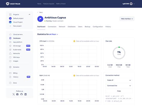 How To Connect To The Database Hostman Documentation