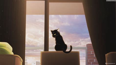 Кот, мастер на все лапки, сегодня снова грустит / Dekiru Neko wa Kyou ...