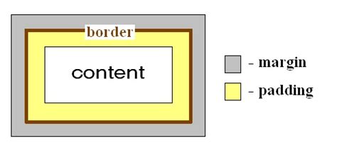 Margin Vs Padding CSS Properties Digizol
