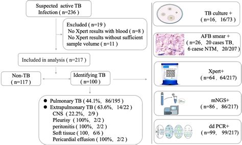 Frontiers Ddpcr Provides A Sensitive Test Compared With Genexpert Mtbrif And Mngs For