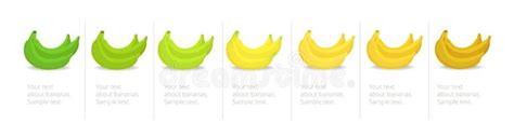 Banana Chart Ripe Stock Illustrations 58 Banana Chart Ripe Stock