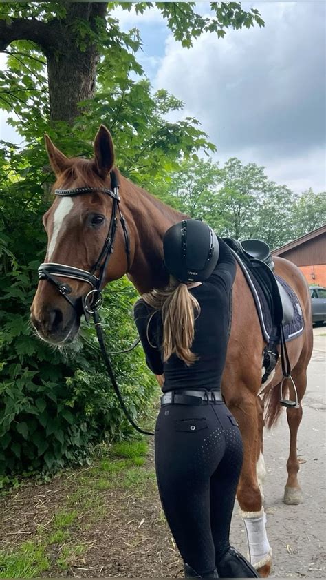Pin By Btadelts On Pins By You In 2024 Horse Photos Equestrian