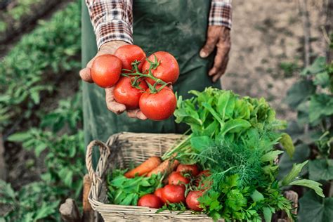 Center For Nutrition And Health Impact — Gusnip Ntae Center