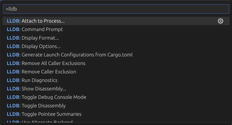 5 Best Vs Code Extensions For Rust Development Sergio Rodrigo Royo
