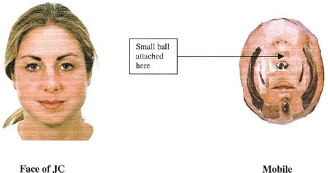 Figure 1 From Sex Differences In Human Neonatal Social Perception