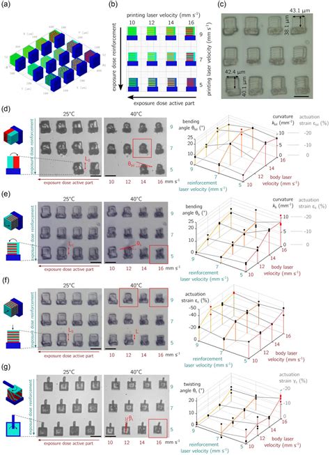 A VoxelBased Approach For The Generation Of Advanced Kinematics At The