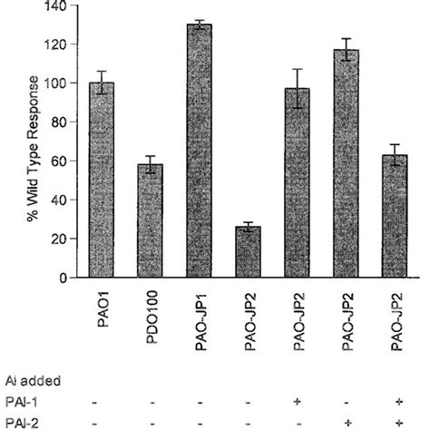 Slide Culture Assay For Twitching Motility The P Aeruginosa Pao1 Wild