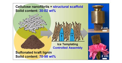 Dual Templating Approach For Engineering Strong Biodegradable Lignin Based Foams Acs