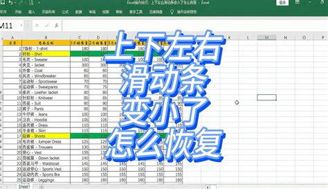 【java编程技术】excel操作技巧：上下左右滑动条变小了怎么恢复 教育视频 免费在线观看 爱奇艺