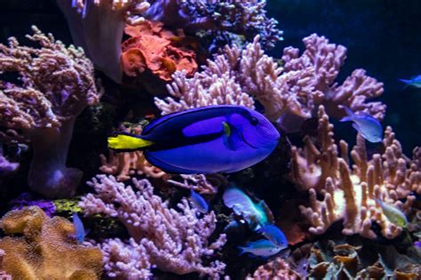 Python Type Hinting Your Collections Like A Pro By Jérôme Diaz Medium
