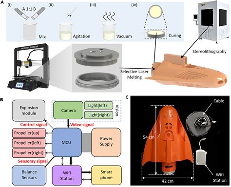 Yolox Dg Robotic Detection Systems For Large Scale Underwater Concrete Structures Iscience
