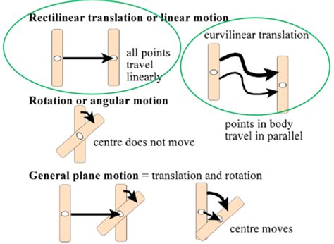 Lec 5 Linear Kinematics Flashcards Quizlet