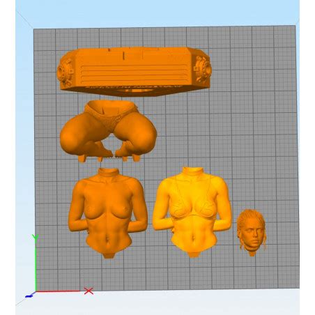 Rey NSFW Slave From Jakku STL 3D Print Files
