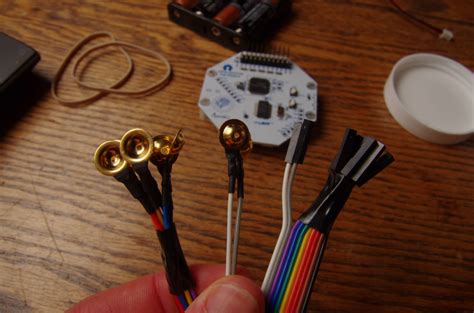 Getting Started With Openbci A Comprehensive Tutorial — The Autodidacts